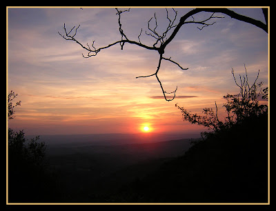 "Crítica Política": El Plan Bohan (1942) y la “Marcha Hacia El Oriente”